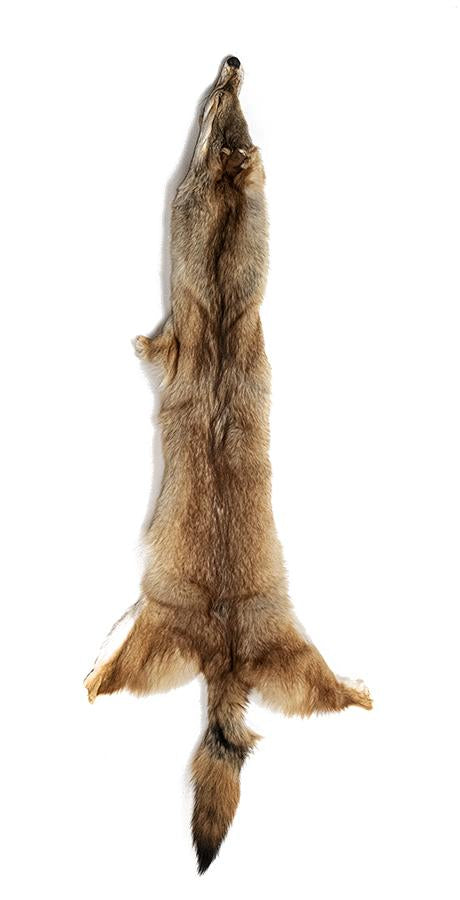TANNED PELTS – DAKOTALINE